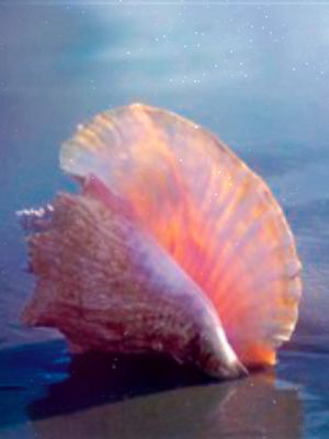 Jamaican Holiday, 2006 – the Decolonial Passage